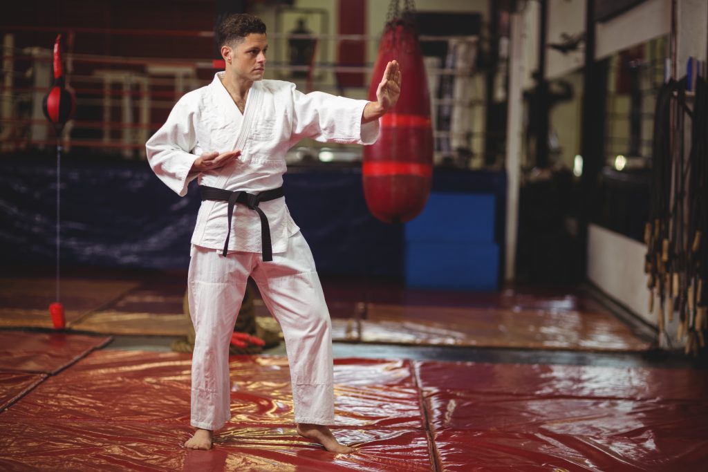 Professional Mirror Installations for Martial Arts Training | Pro-Bond ...